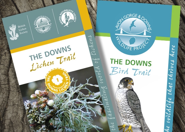 Inkwood Design – Specialists in design for wildlife, conservation & the ...